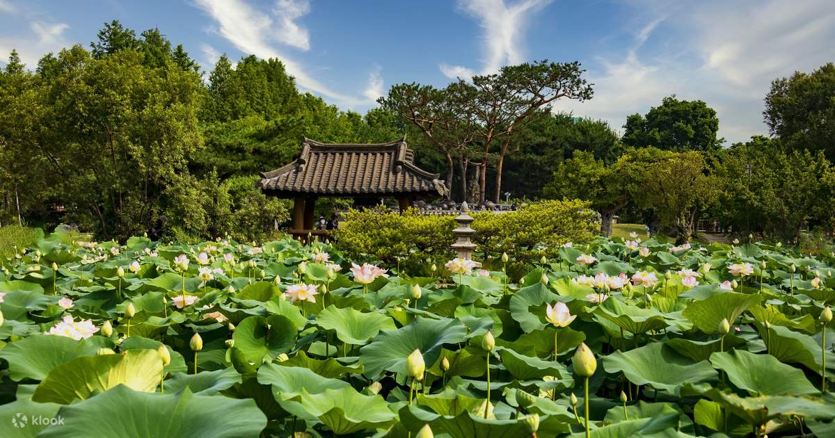 Lotus Theme Park. Agricultural Technology Center & Semiwon One-day Flower Viewing & Guided Tour ...